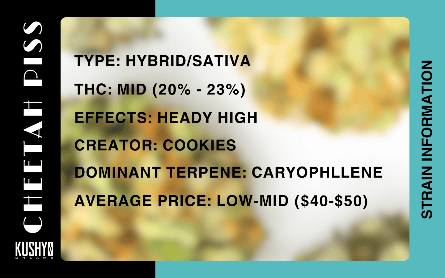 10 Crazy Facts About The Cheetah Piss Strain (Cannabis Strain Info ...