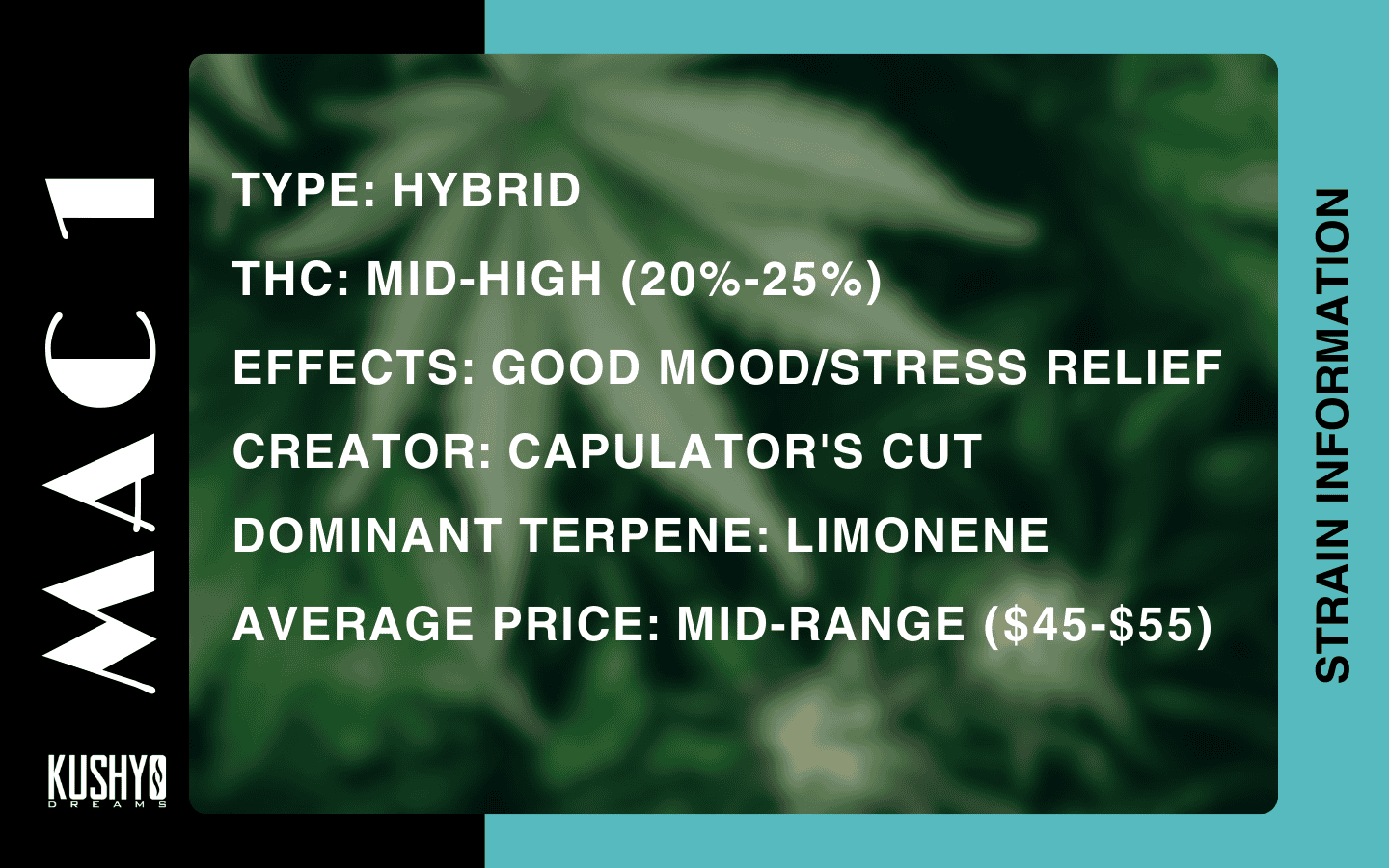 The MAC: 10 Fun Facts About The Mac 1 Cannabis Strain - Kushy Dreams