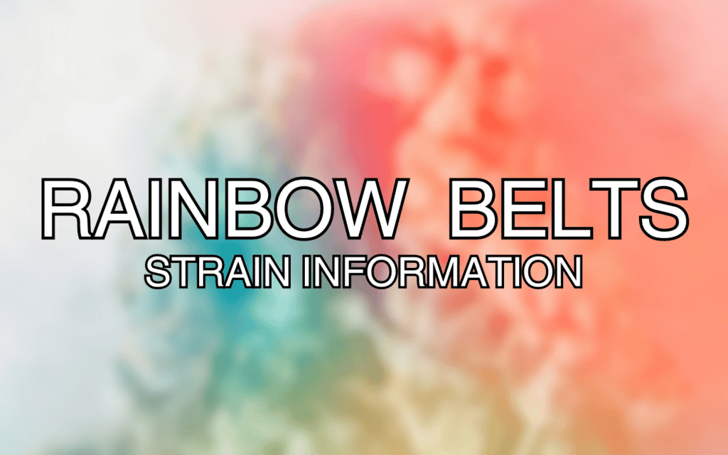 10 Informative Facts About The Rainbow Belts Strain - Kushy Dreams